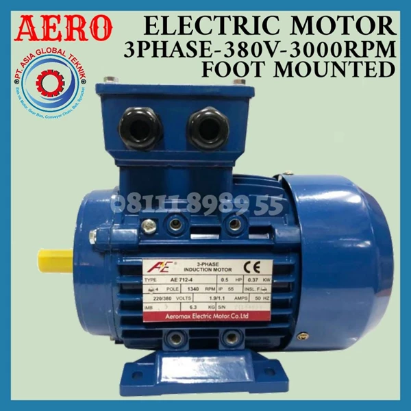 Jual ELECTRIC MOTOR 0.75KW 1HP 2P 3000RPM 3PHASE 801-2 B3 AERO Jakarta | Asia Global Teknik